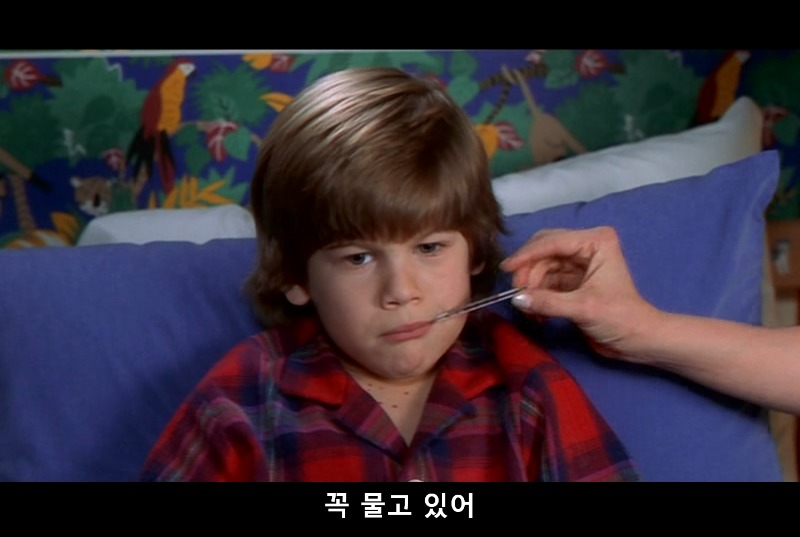 영화 나 홀로 집에 3 1080p 한글자막 Home Alone