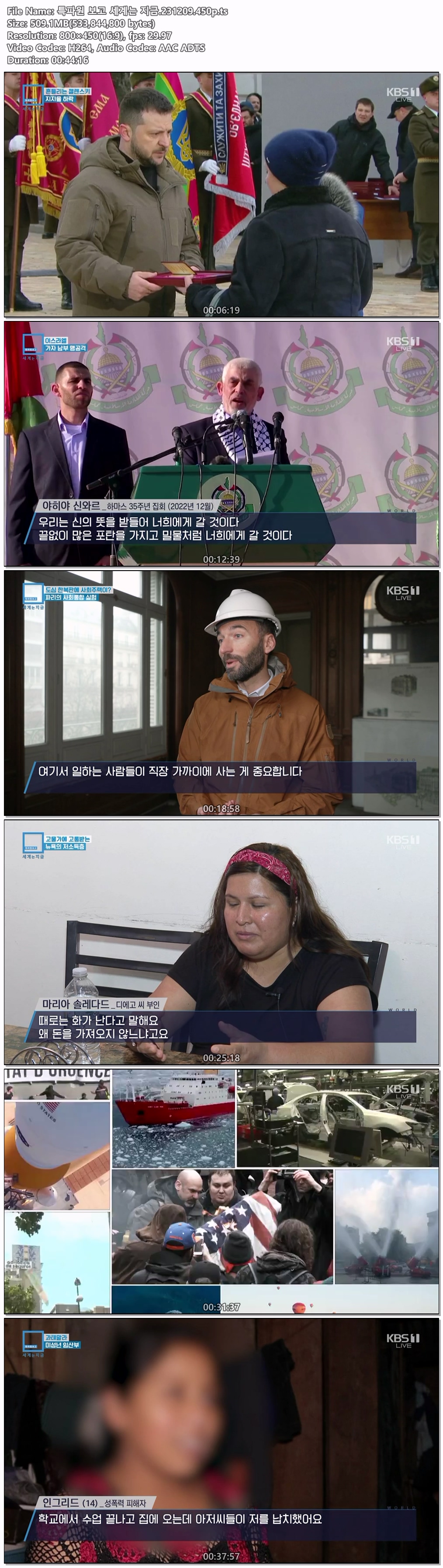 특파원 보고 세계는 지금.231209.450p