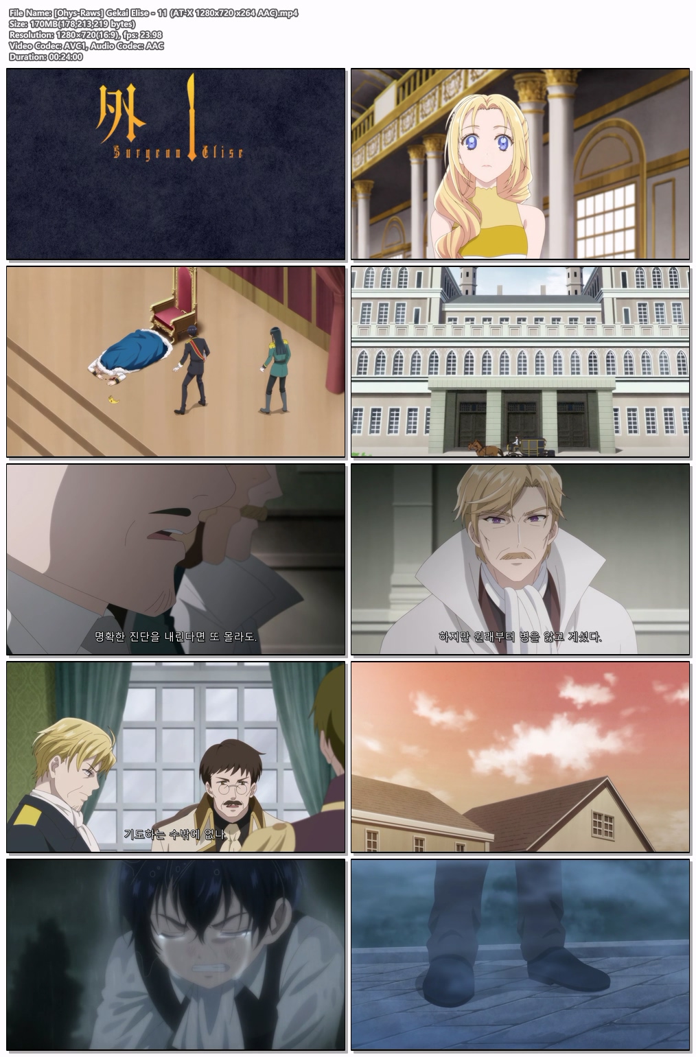 [Ohys-Raws] 외과의사 엘리제 - 11 (AT-X 1280x720 x264 AAC)